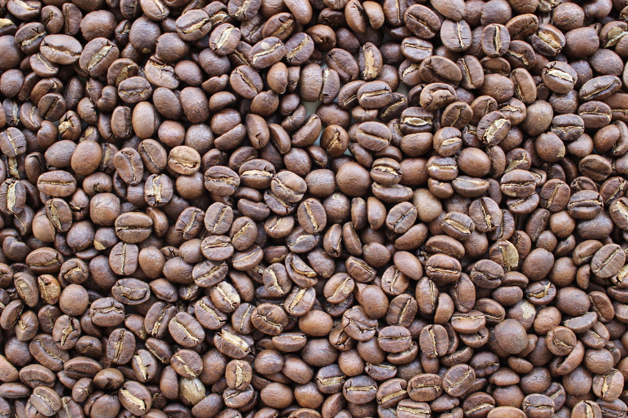 [Thailand] “Left Hand Roasters”: Must-try Roastery in Chiang Mai – 地球は ...